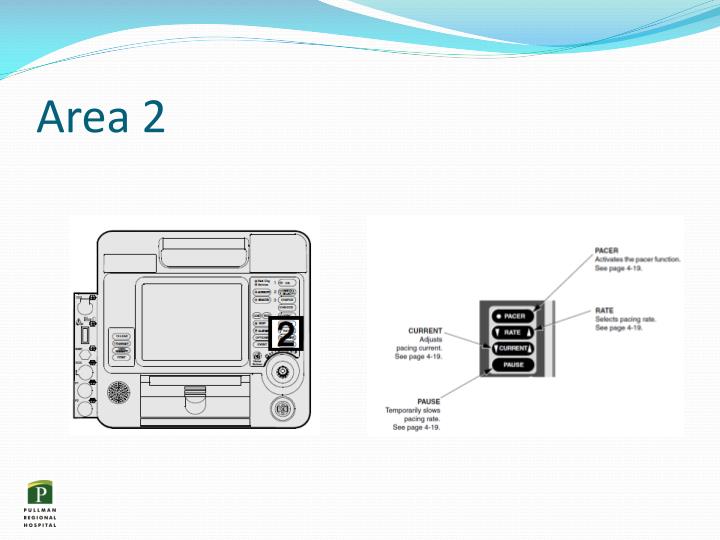 PPT - Code Blue and Rapid Response Protocol PowerPoint Presentation ...