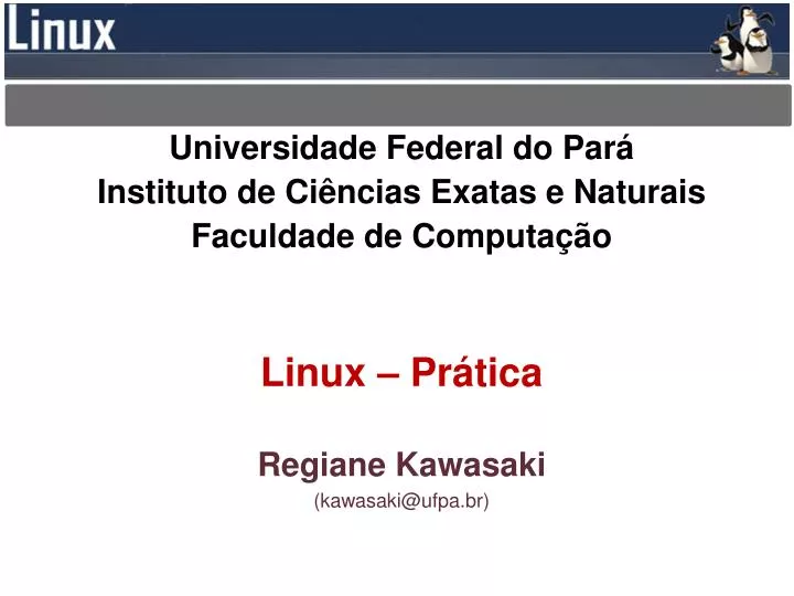 Ppt Universidade Federal Do Pará Instituto De Ciências Exatas E