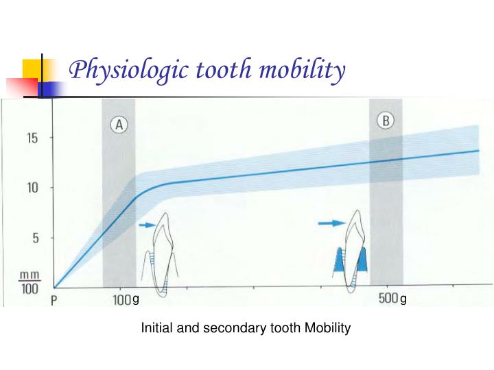 PPT - Pre-clinical Periodontics PowerPoint Presentation - ID:5790245