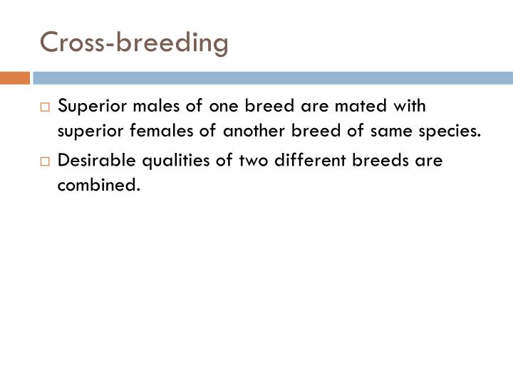 PPT - STRATEGIES FOR ENHANCEMENT IN FOOD PRODUCTION PowerPoint ...