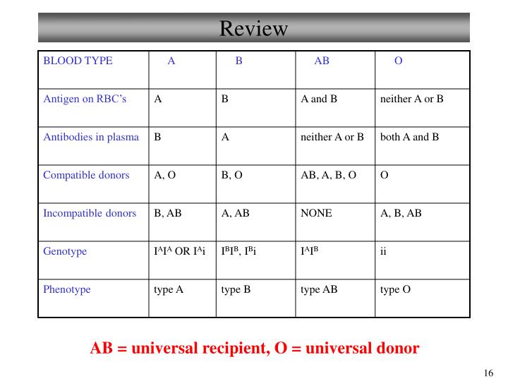 PPT - Biology 102 Laboratory 1 Blood and Blood Typing PowerPoint ...