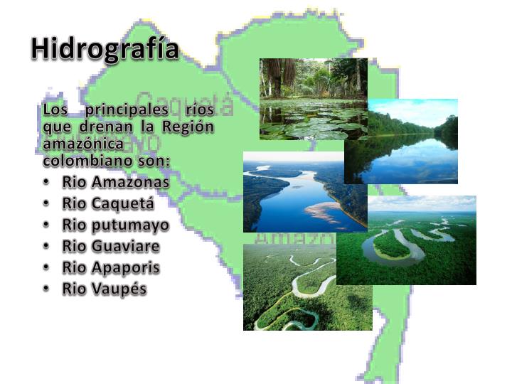 PPT - REGION AMAZONICA PowerPoint Presentation - ID:5792565