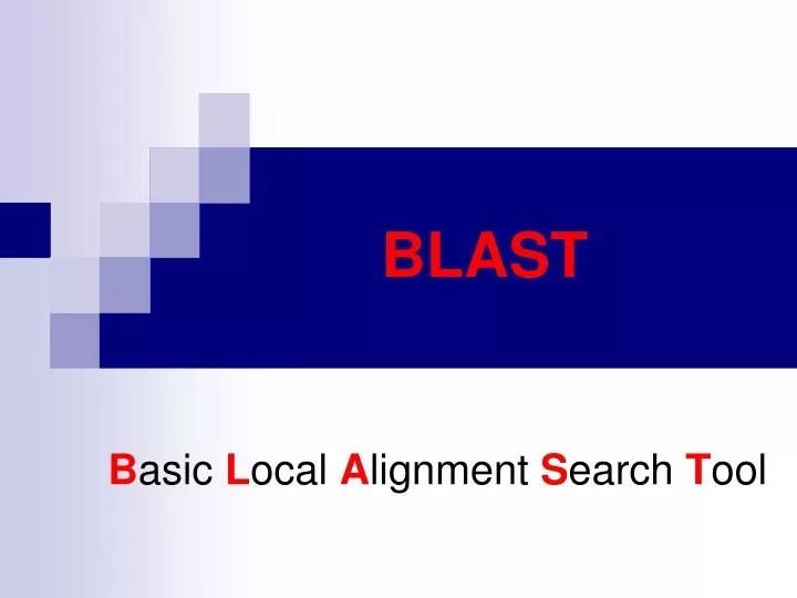 PPT - BLAST PowerPoint Presentation, free download - ID:5793504