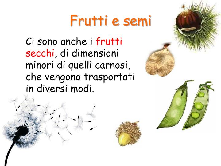 PPT - Le piante PowerPoint Presentation - ID:5795565