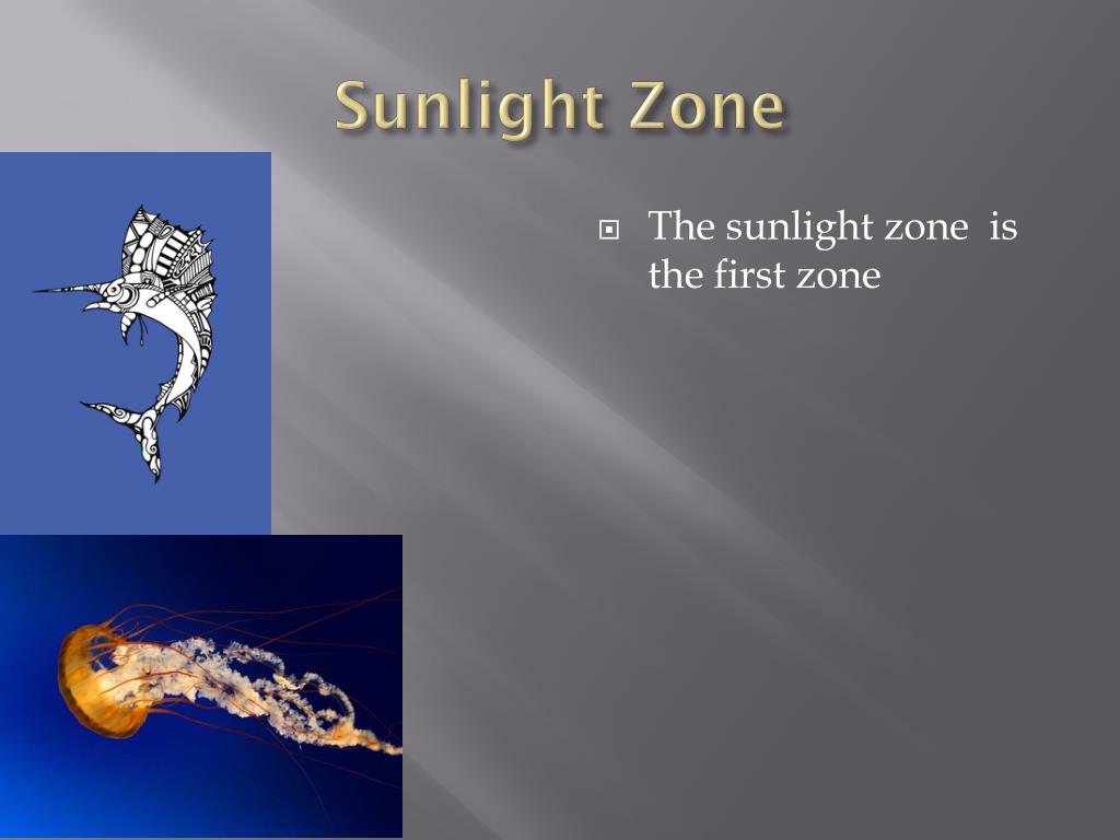 PPT Zones Of The Ocean PowerPoint Presentation Free Download ID PPT Zones Of The Ocean PowerPoint Presentation Free Download ID