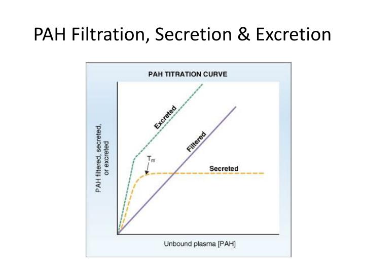 PPT - Tubular Reabsorption & Secretion PowerPoint Presentation - ID:5796768