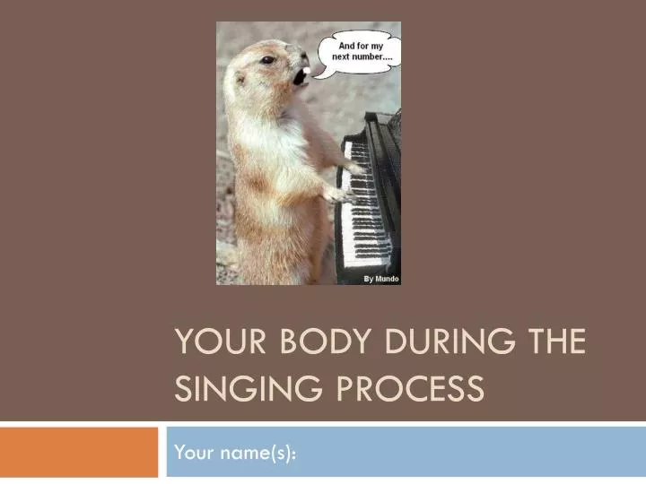 PPT - Your body during the singing process PowerPoint Presentation ...