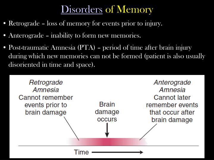 PPT - Disorders of Memory Amnesia & Animal Models PowerPoint ...