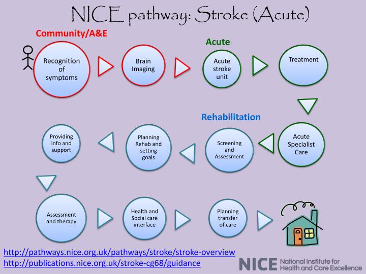 PPT - Stroke and Dysphagia PowerPoint Presentation - ID:5799190