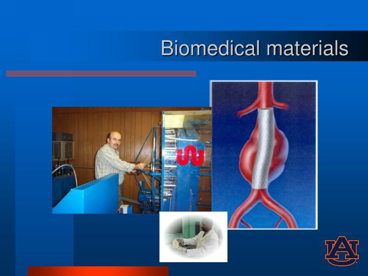 PPT - Auburn University PowerPoint Presentation - ID:5803605