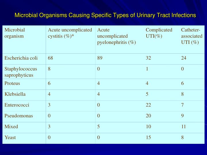 Urinary Tract Infection Bacterial Types