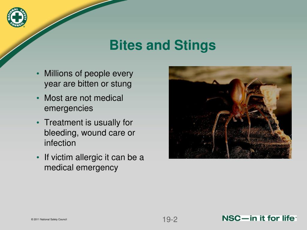 PPT - Bites and stings PowerPoint Presentation, free download - ID:5806350 PPT - Bites and stings PowerPoint Presentation, free download - ID:5806350