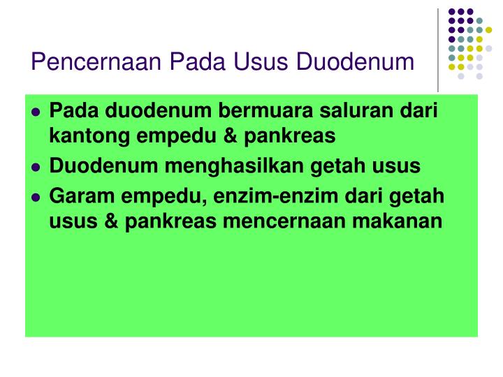 PPT - PENCERNAAN PowerPoint Presentation - ID:5812252