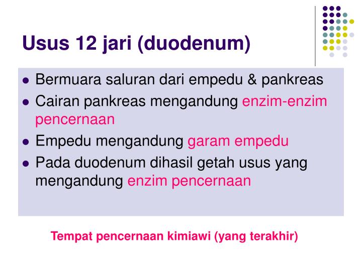 PPT - PENCERNAAN PowerPoint Presentation - ID:5812252