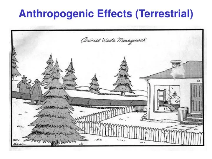 PPT - Anthropogenic Effects (Terrestrial) PowerPoint Presentation, free ...