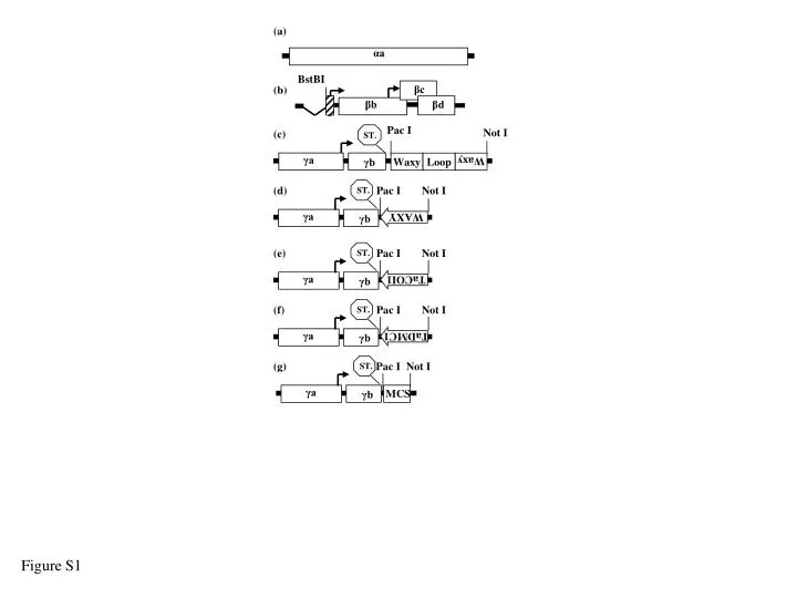 PPT - Pac I PowerPoint Presentation, free download - ID:5814693