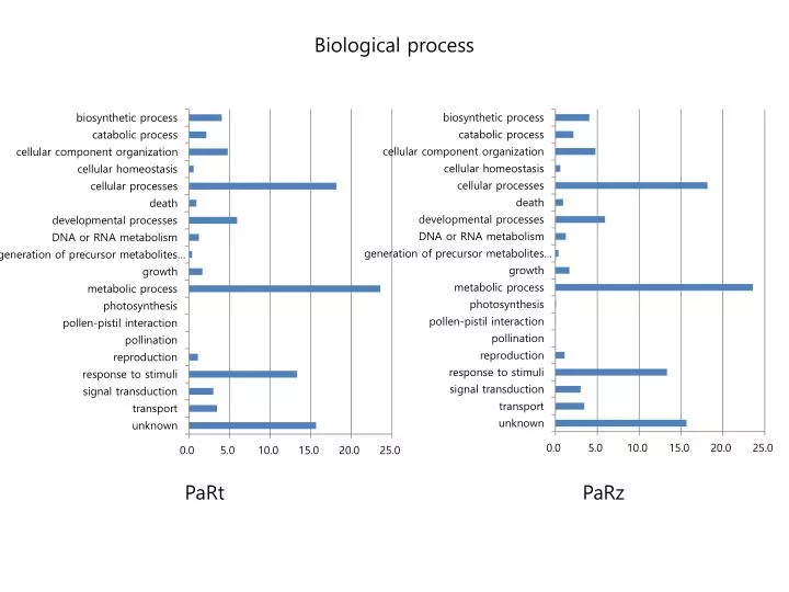 PPT - Biological process PowerPoint Presentation, free download - ID ...