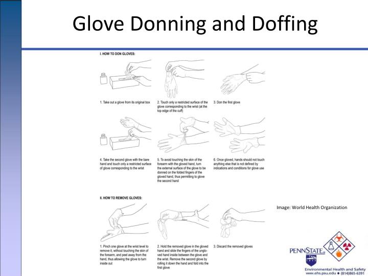 PPT - *Instructions for Employee PPE Training* PowerPoint Presentation ...