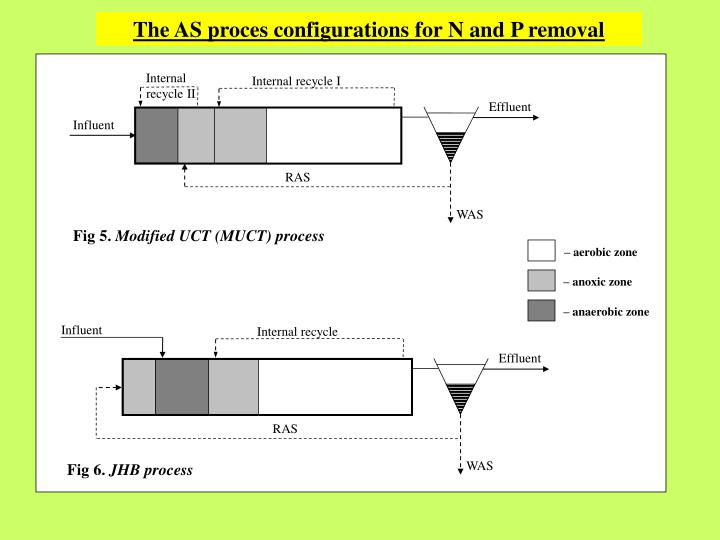 PPT - ACTIVATED SLUDGE - BIOLOGICAL NUTRIENT REMOVAL PowerPoint ...
