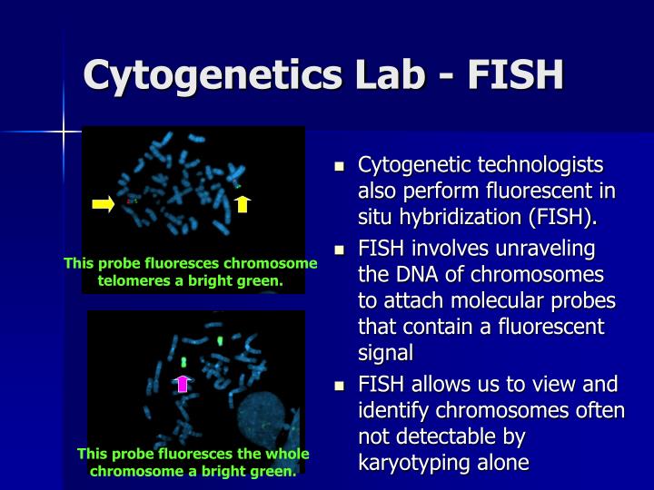 PPT - Diagnostic Detectives: Medical Laboratory Professionals ...