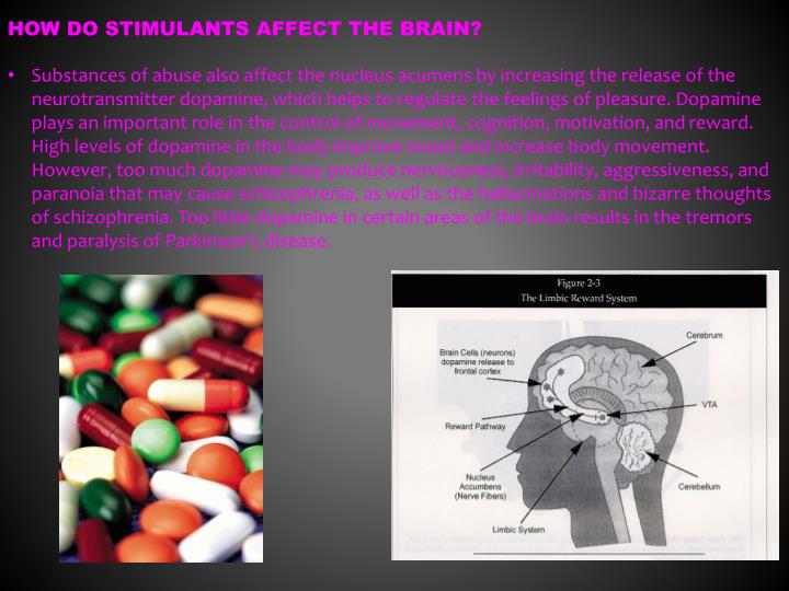 PPT - Stimulants PowerPoint Presentation - ID:5816160