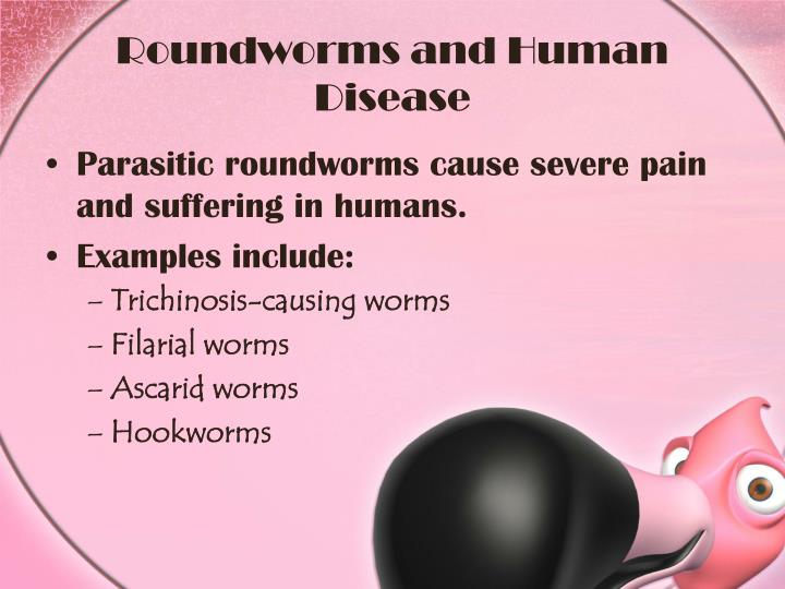 Roundworms In Humans