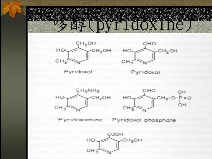 PPT - 哆醇 (pyridoxine) PowerPoint Presentation, free download - ID:5816582