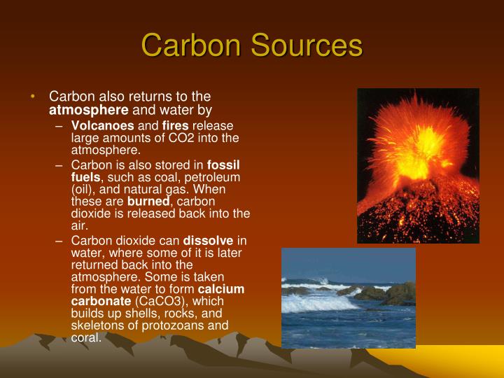 PPT - Where in the World is Carbon? PowerPoint Presentation - ID:5817962