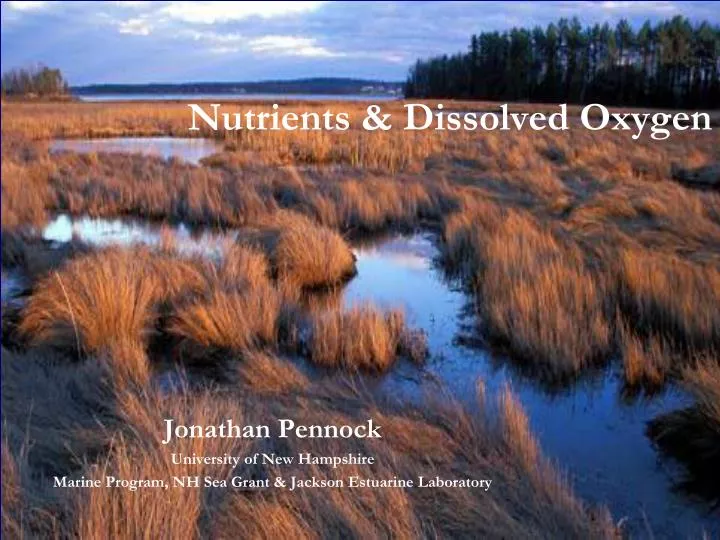 PPT - Nutrients & Dissolved Oxygen PowerPoint Presentation, free ...