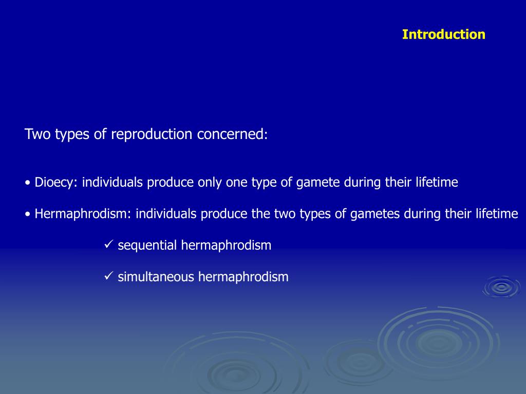 Ppt Sex Allocation Theory Powerpoint Presentation Free Download Id