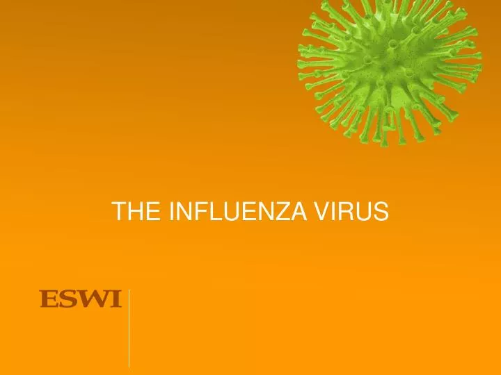PPT - THE INFLUENZA VIRUS PowerPoint Presentation, free download - ID ...