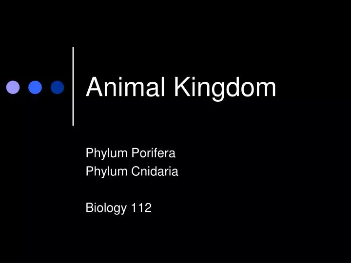 PPT - Animal Kingdom PowerPoint Presentation, free download - ID:5827824