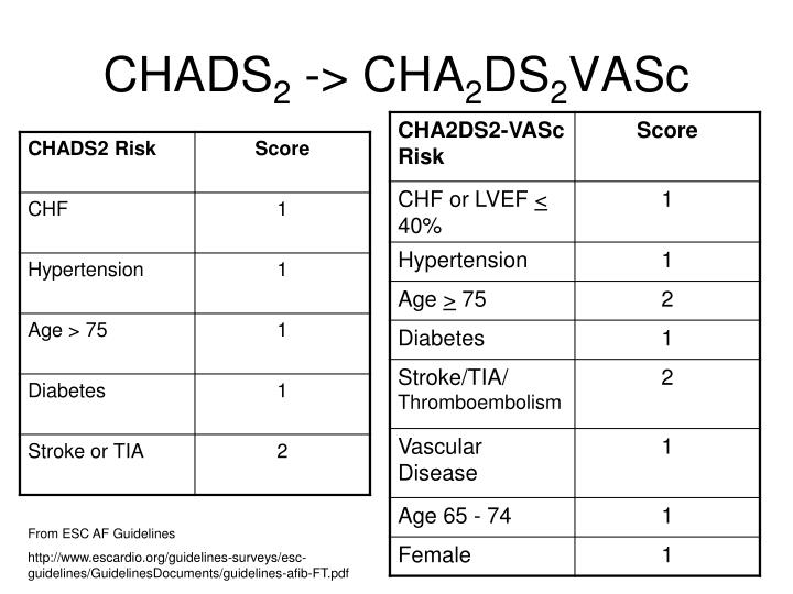 PPT - CHADS 2 -> CHA 2 DS 2 VASc PowerPoint Presentation - ID:5828295