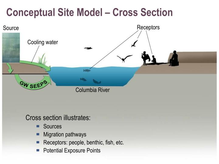 PPT - Columbia River Overview Superfund Process Conceptual Site Models ...