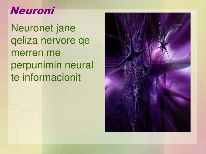 PPT - Neuroni PowerPoint Presentation, free download - ID:5829347