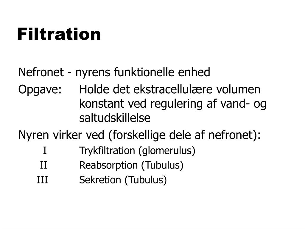 PPT - Nyren og Urinvejen PowerPoint Presentation, free download - ID ...