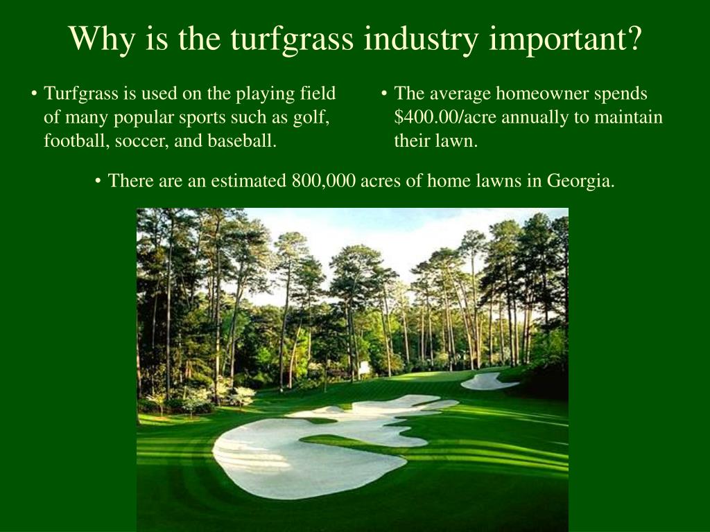 PPT - Turfgrass Industry An Overview of the Turfgrass Industry in ...