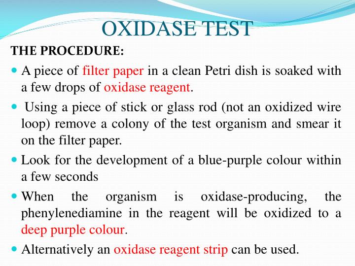 PPT - University of Tabuk Faculty of Applied Medical Science Department ...