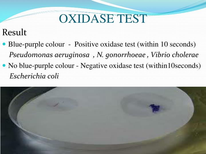 PPT - University of Tabuk Faculty of Applied Medical Science Department ...
