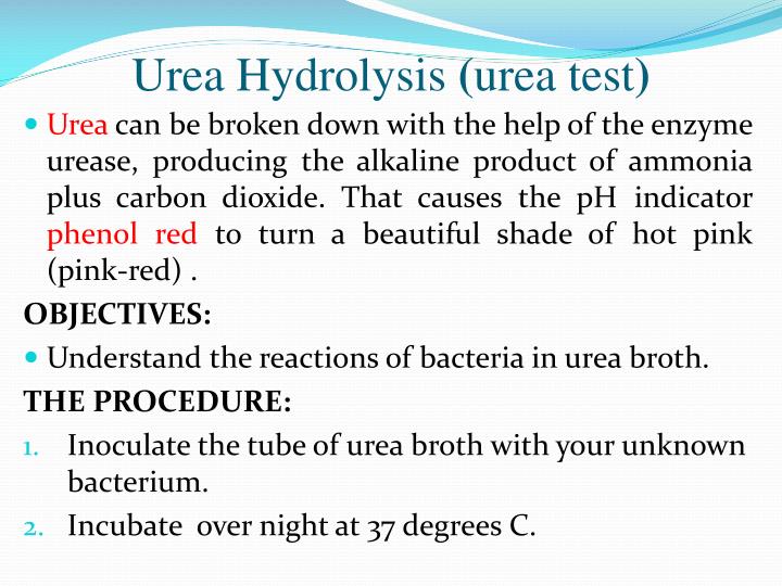 PPT - University of Tabuk Faculty of Applied Medical Science Department ...