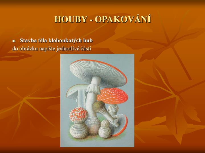 PPT - HOUBY PowerPoint Presentation - ID:5832478