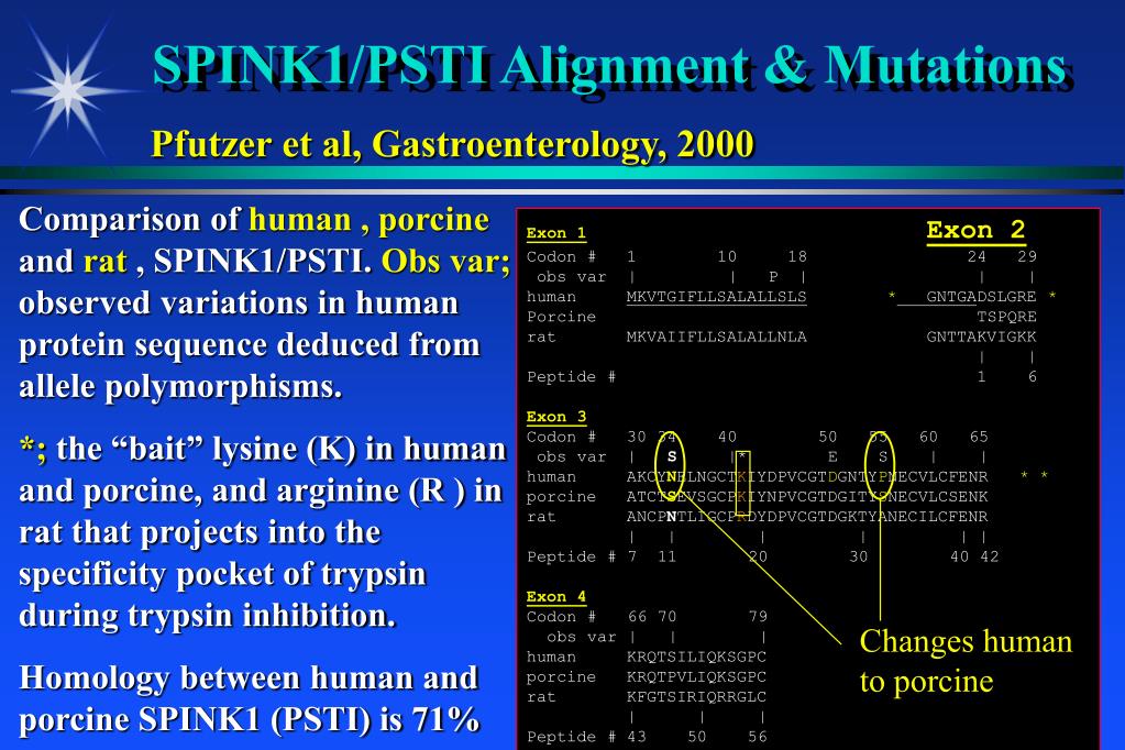 PPT - Pancreatitis and Pancreatic Cancer PowerPoint Presentation, free ...