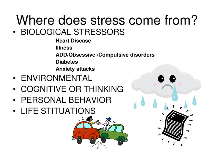 PPT - Define stress and eustress List several effects stress produces ...
