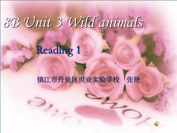 PPT - 8B Unit 3 Wild animals PowerPoint Presentation, free download - ID:5834021