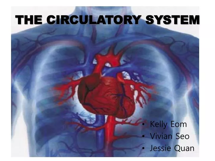 Ppt The Circulatory System Powerpoint Presentation Free Download