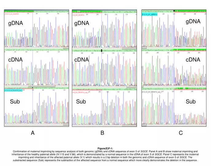 PPT - gDNA PowerPoint Presentation, free download - ID:5836442
