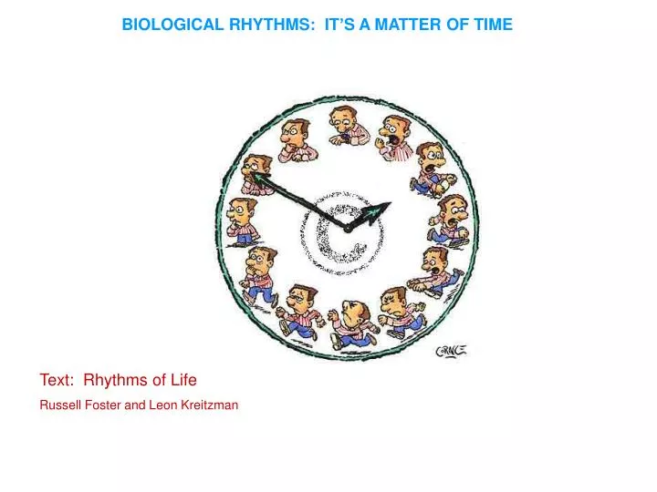 PPT - BIOLOGICAL RHYTHMS: IT’S A MATTER OF TIME PowerPoint Presentation ...