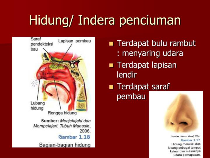 PPT - ALAT INDRA PowerPoint Presentation - ID:5837860