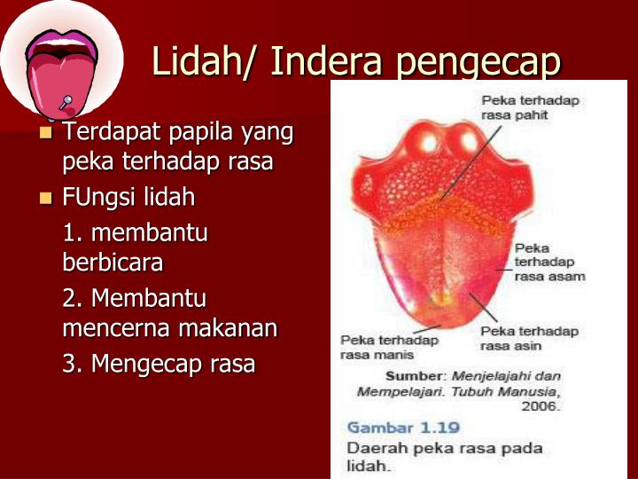 PPT - ALAT INDRA PowerPoint Presentation - ID:5837860