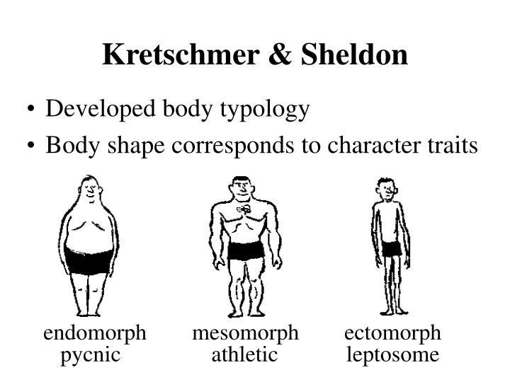 PPT - History of Personality PowerPoint Presentation - ID:5839127